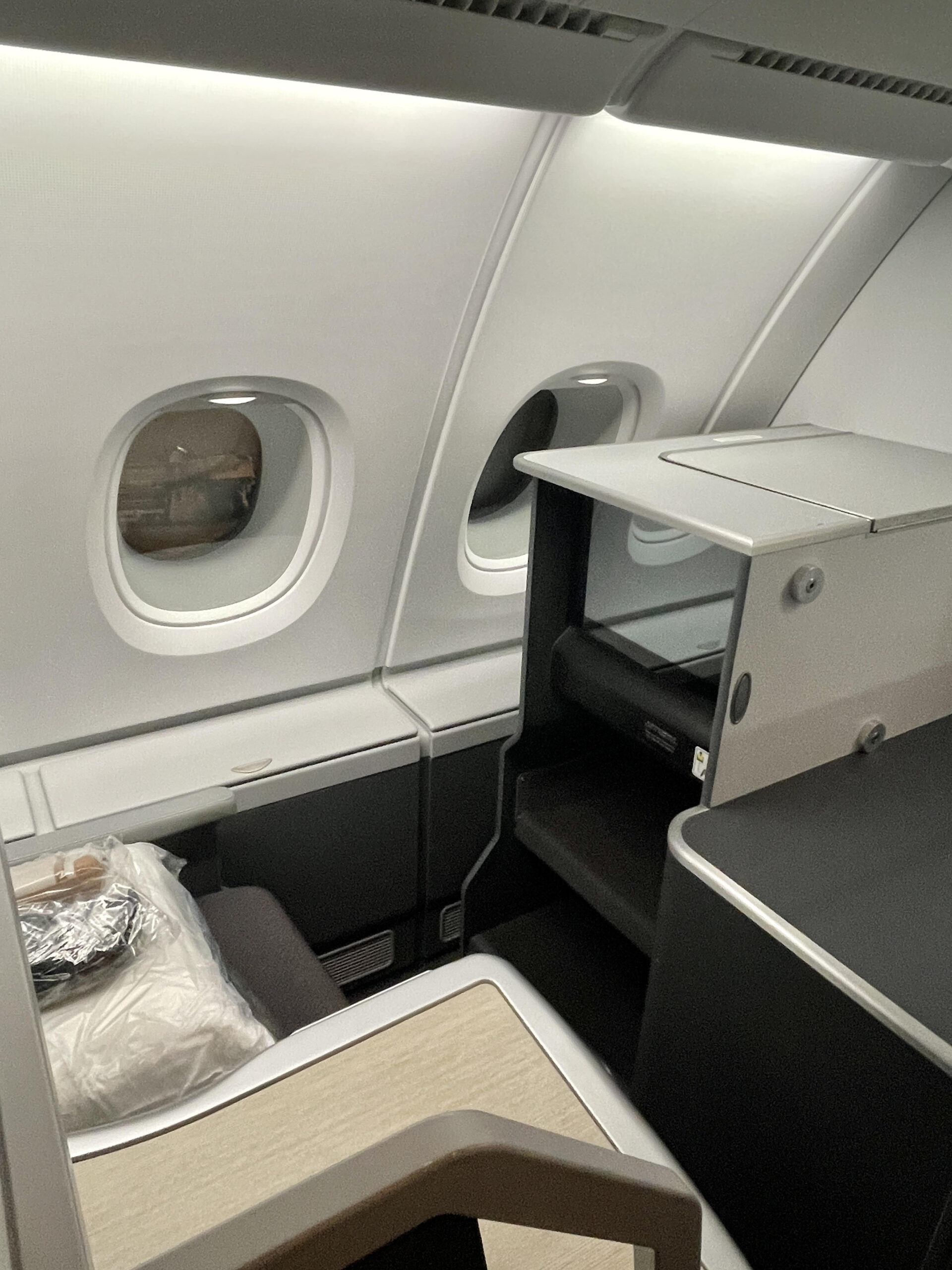 NH184 ビジネスクラス 搭乗レポート 【2023】 - Rina's Way