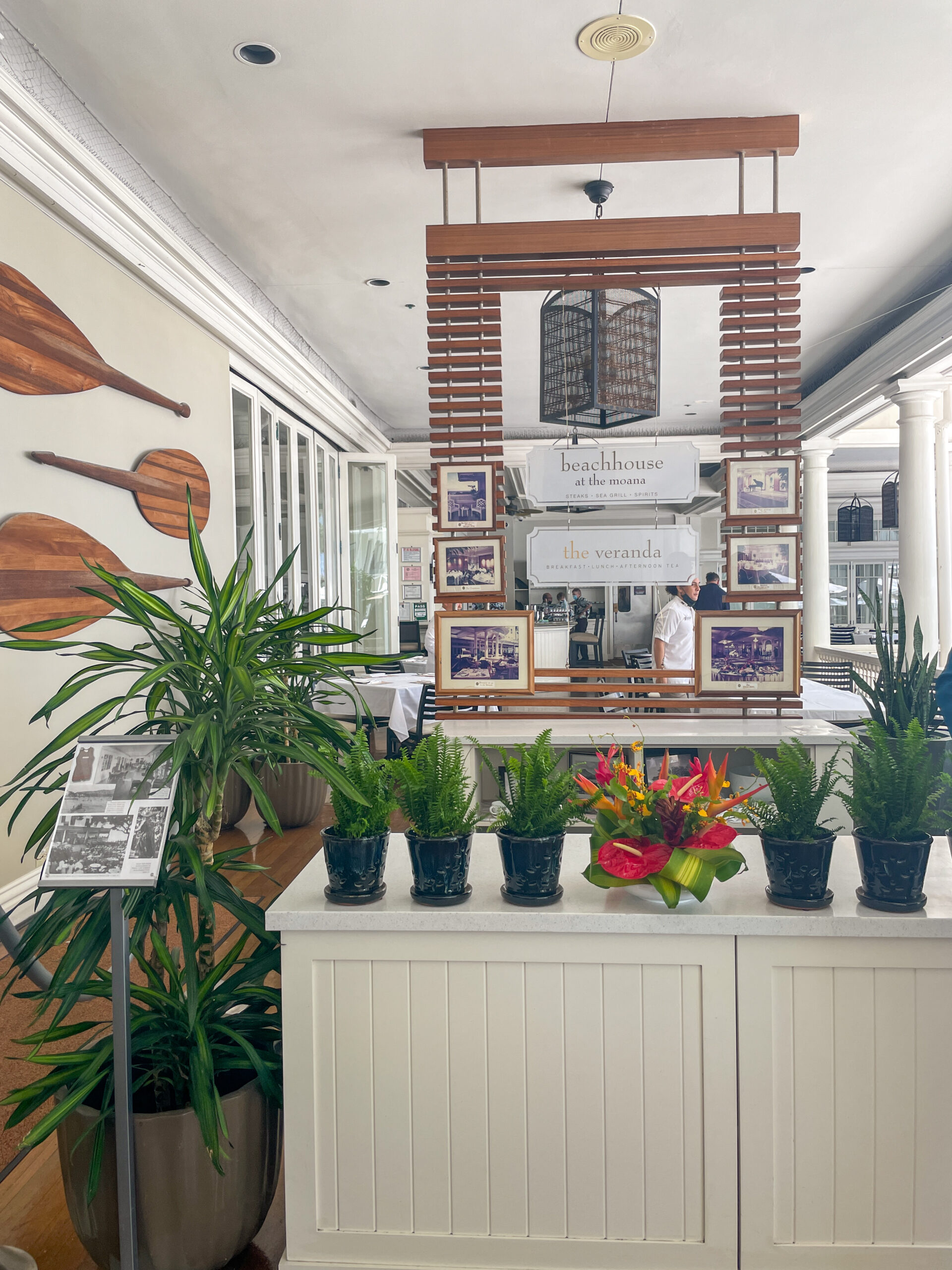 Hwaiian Afternoon Tea at The Veranda, Moana Surfrider in Waikiki - Rina ...